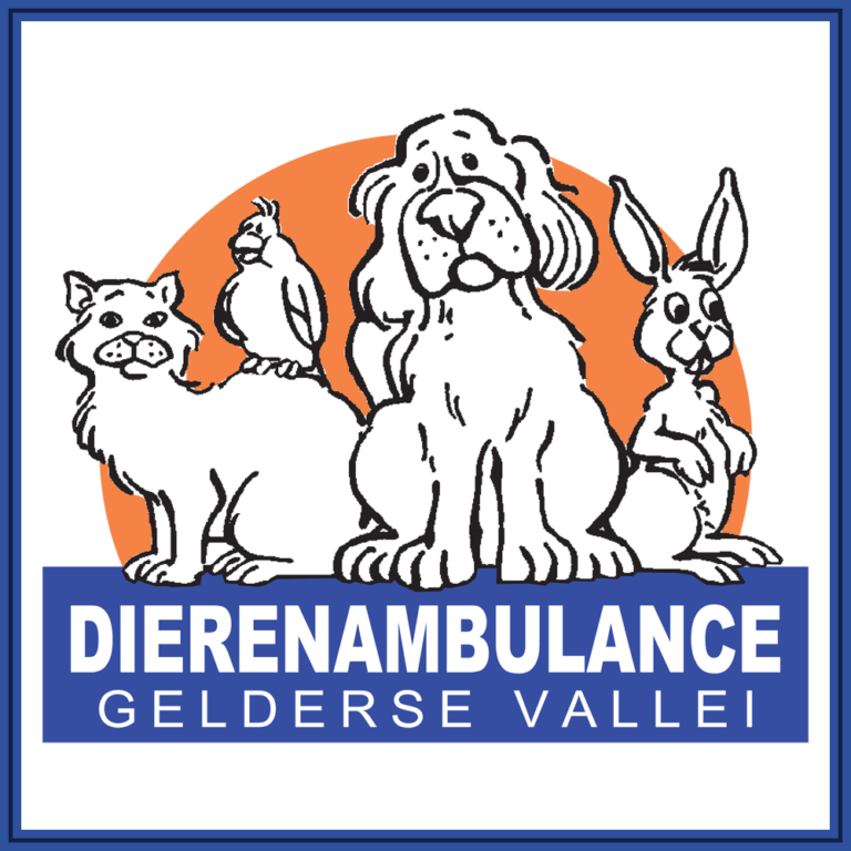 Recente Uitgaven – DNB Groep